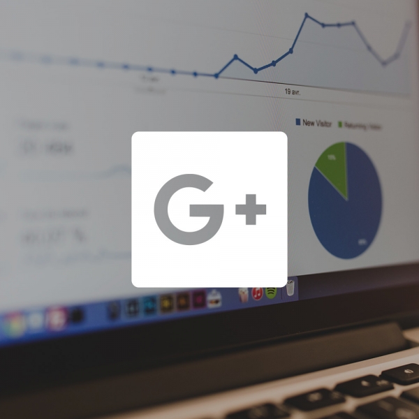 Does using Google Plus equal higher search engine rankings? | 454 Creative