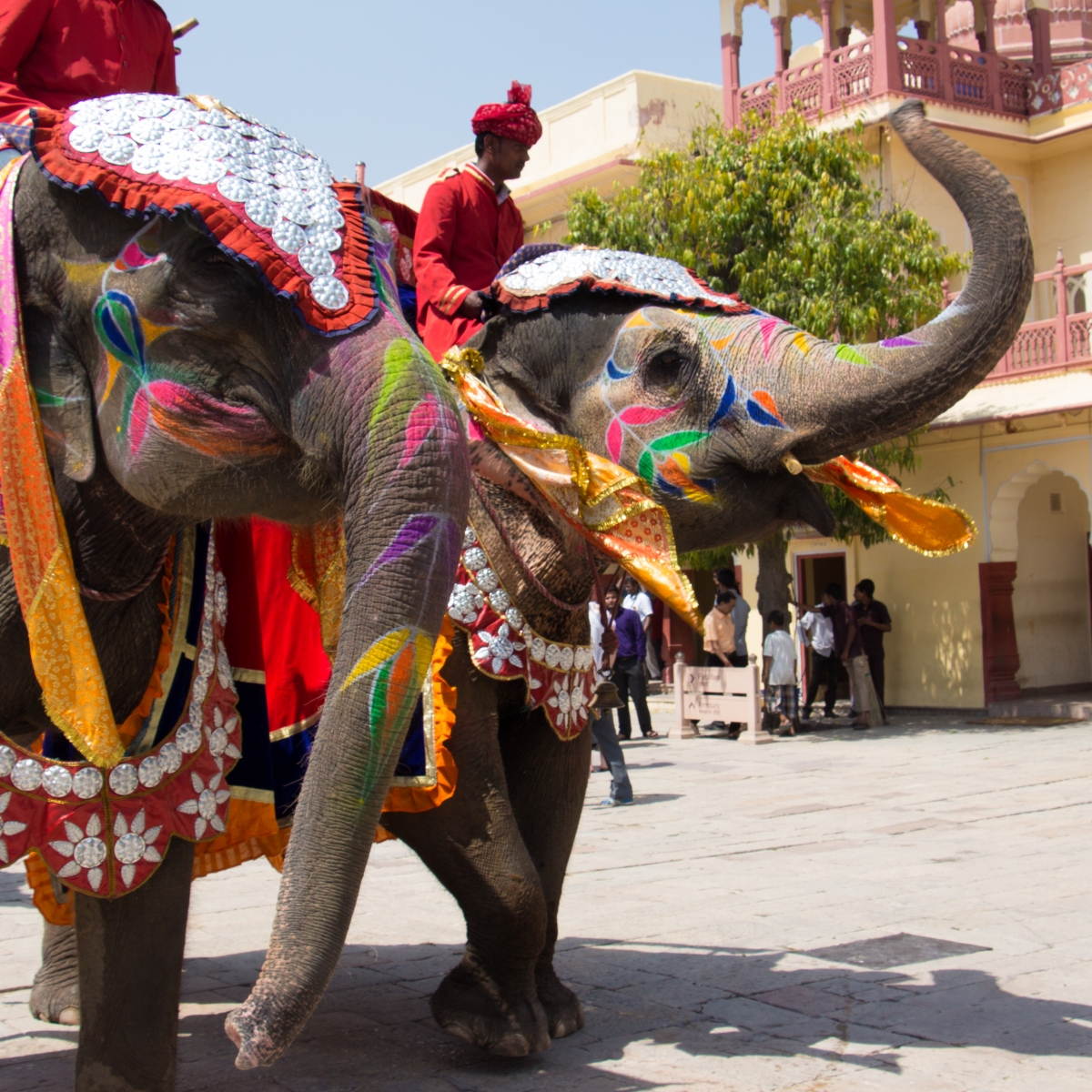 Lakani World Tours | 454 Creative